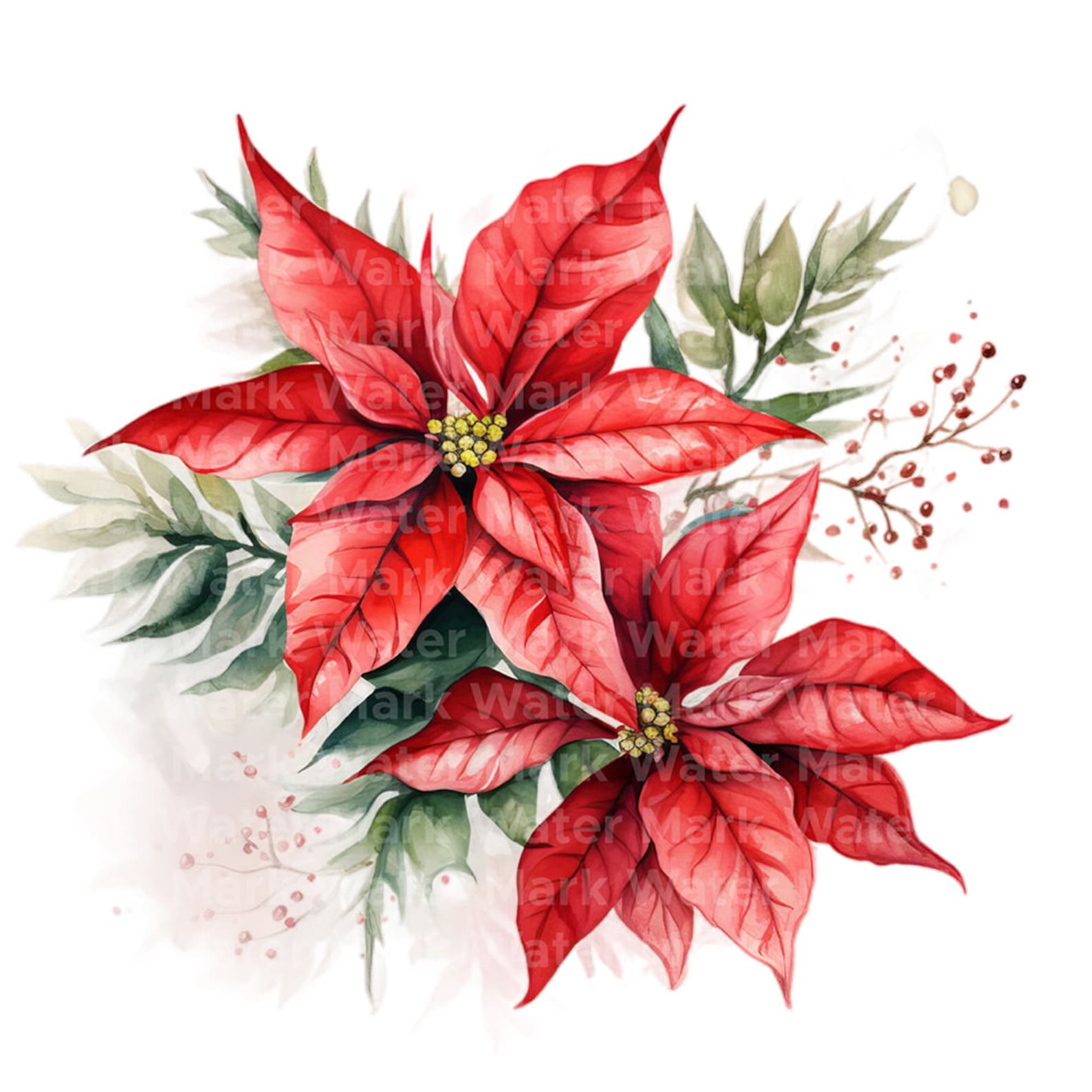 Christmas Poinsettia Clipart, 12 Jpg, Watercolor Clipart, Card Making ...