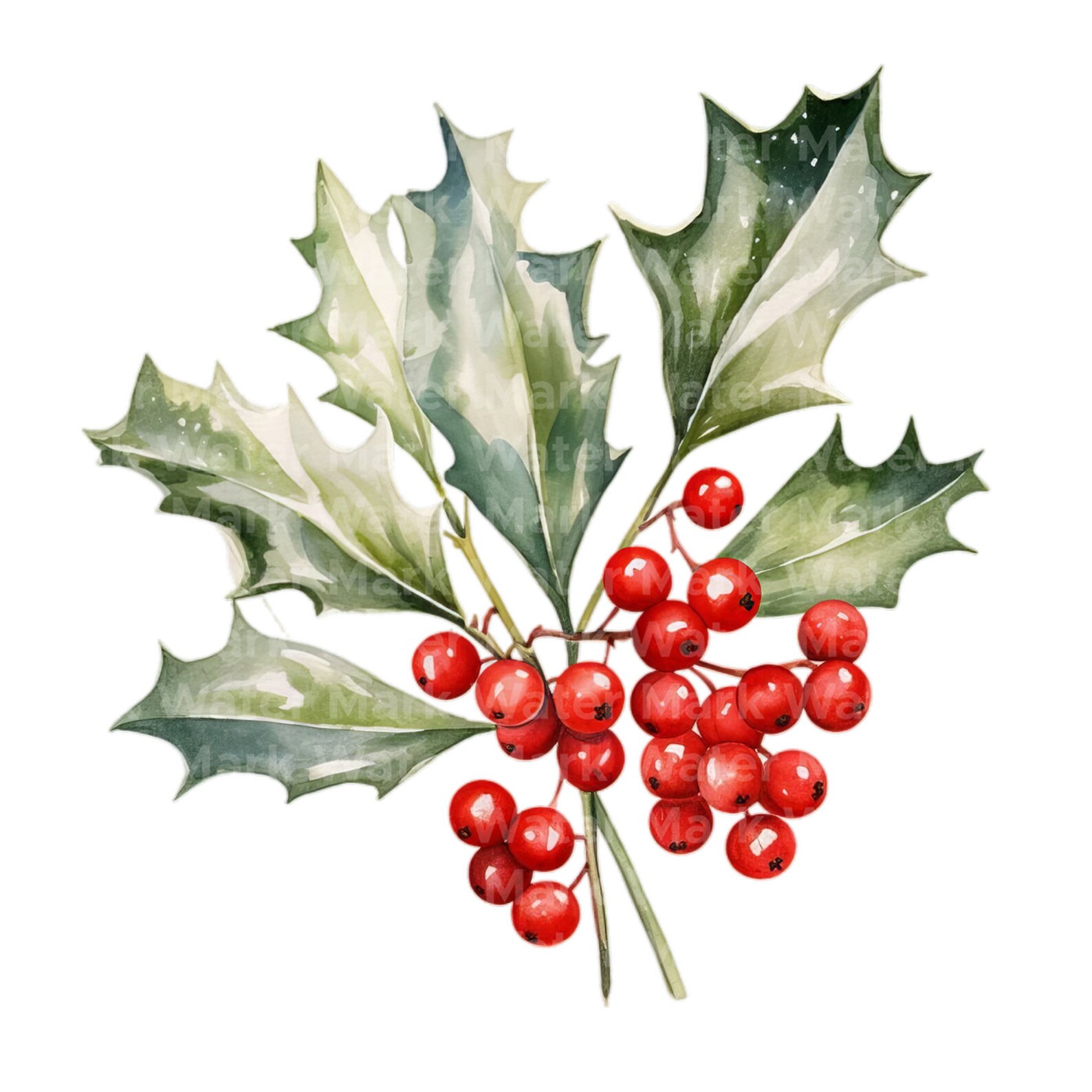 Christmas Mistletoe Clipart, 10 Jpg, Watercolor Clipart, Card Making ...