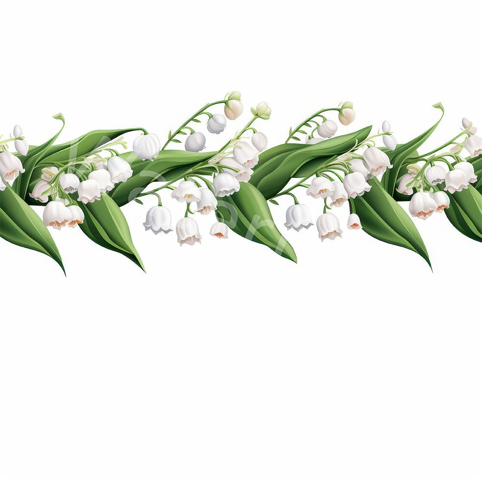 Lily of the Valley Flowers Border Clipart, 12 JPG, Digital Download ...