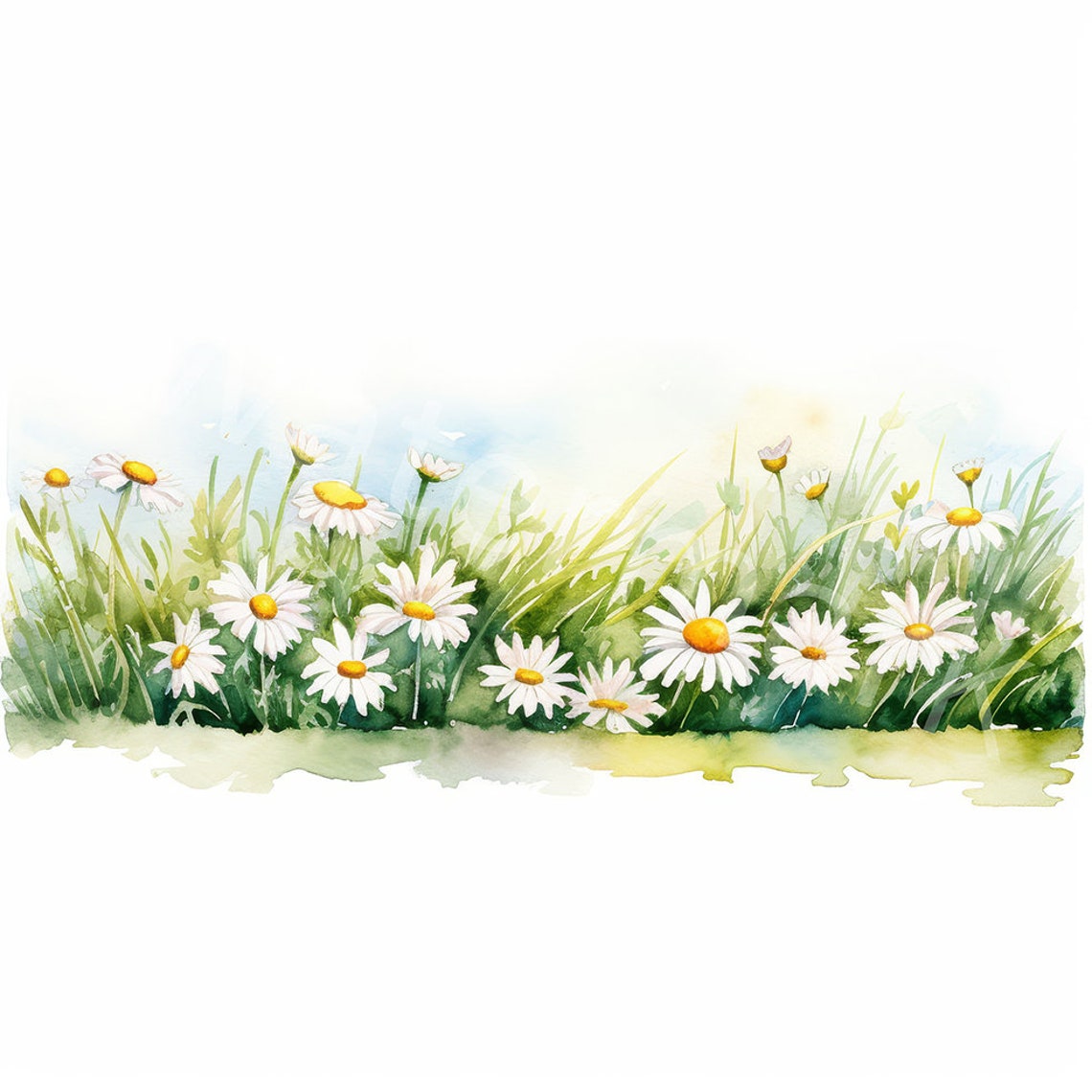 Daisy Border Clipart: Watercolor Flower Frame Graphics (digital ...