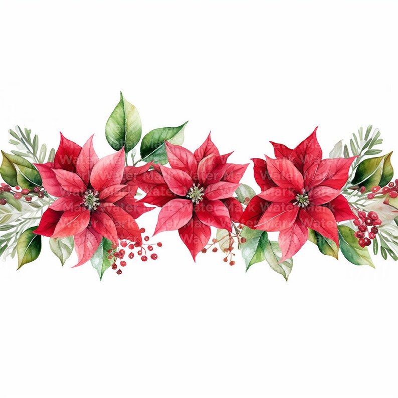 Watercolor Christmas Poinsettia Borders Clipart (digital Download) - Etsy