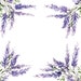 Watercolor Lavender Frame Clipart: Floral Border (digital Download) - Etsy