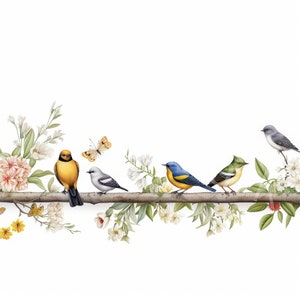 Watercolor Birds Border Clipart: Floral Frame Graphics (digital ...