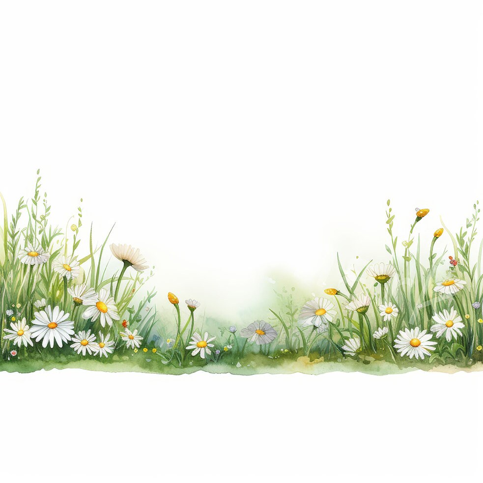Daisy Border Clipart: Watercolor Flower Frame Graphics (digital ...