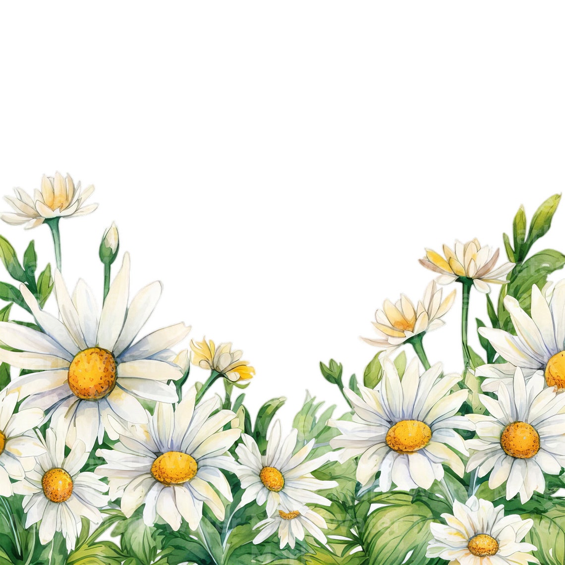 Watercolor Daisy Border Clipart: Floral Card Making (digital Download ...
