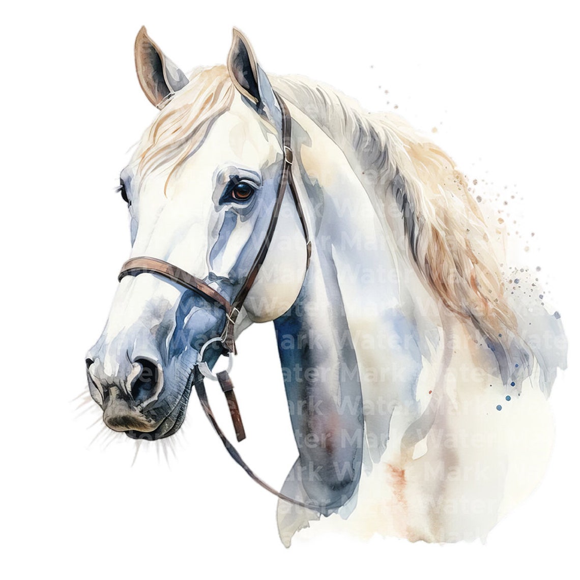 Watercolor Horse Clipart 12 JPG Beautiful Horses Animals - Etsy