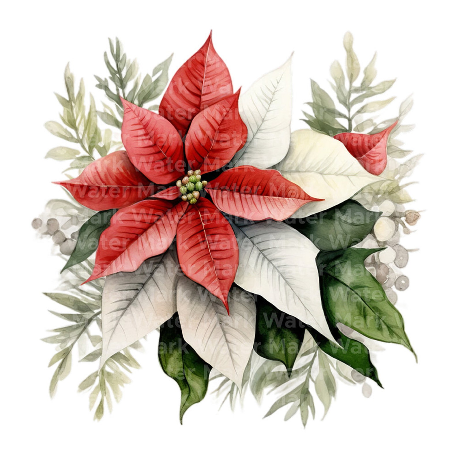 Christmas Poinsettia Clipart, 12 Jpg, Watercolor Clipart, Card Making ...