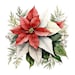Christmas Poinsettia Clipart, 12 Jpg, Watercolor Clipart, Card Making ...