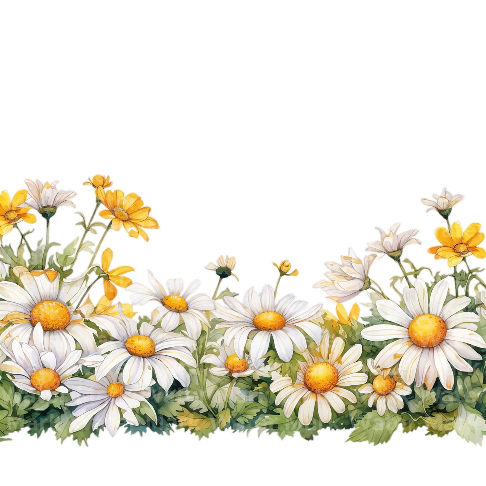 Floral Border Watercolor Clipart, 10 JPG, Digital Paper Craft, Daisies ...