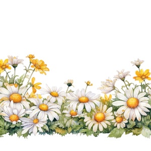 Floral Border Watercolor Clipart, 10 JPG, Digital Paper Craft, Daisies ...