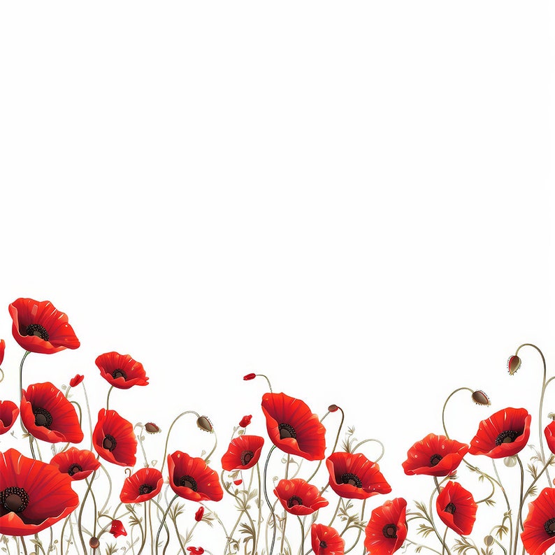 Floral Poppies Border Clipart, 12 JPG, Digital Paper Crafts, Poppies ...