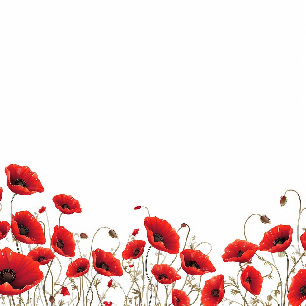 Floral Poppies Border Clipart, 12 JPG, Digital Paper Crafts, Poppies ...