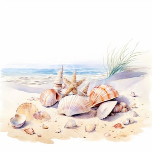 Watercolor Sea Shell Clipart: Beach JPG Images (digital Download) - Etsy