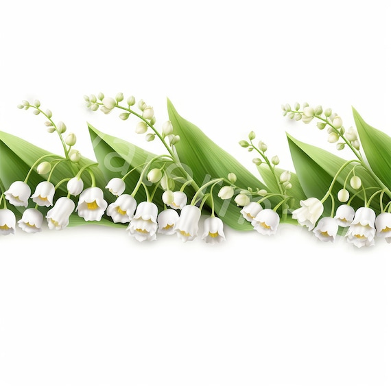 Easter Lily Page Border
