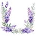 Watercolor Lavender Frame Clipart: Floral Border (digital Download) - Etsy