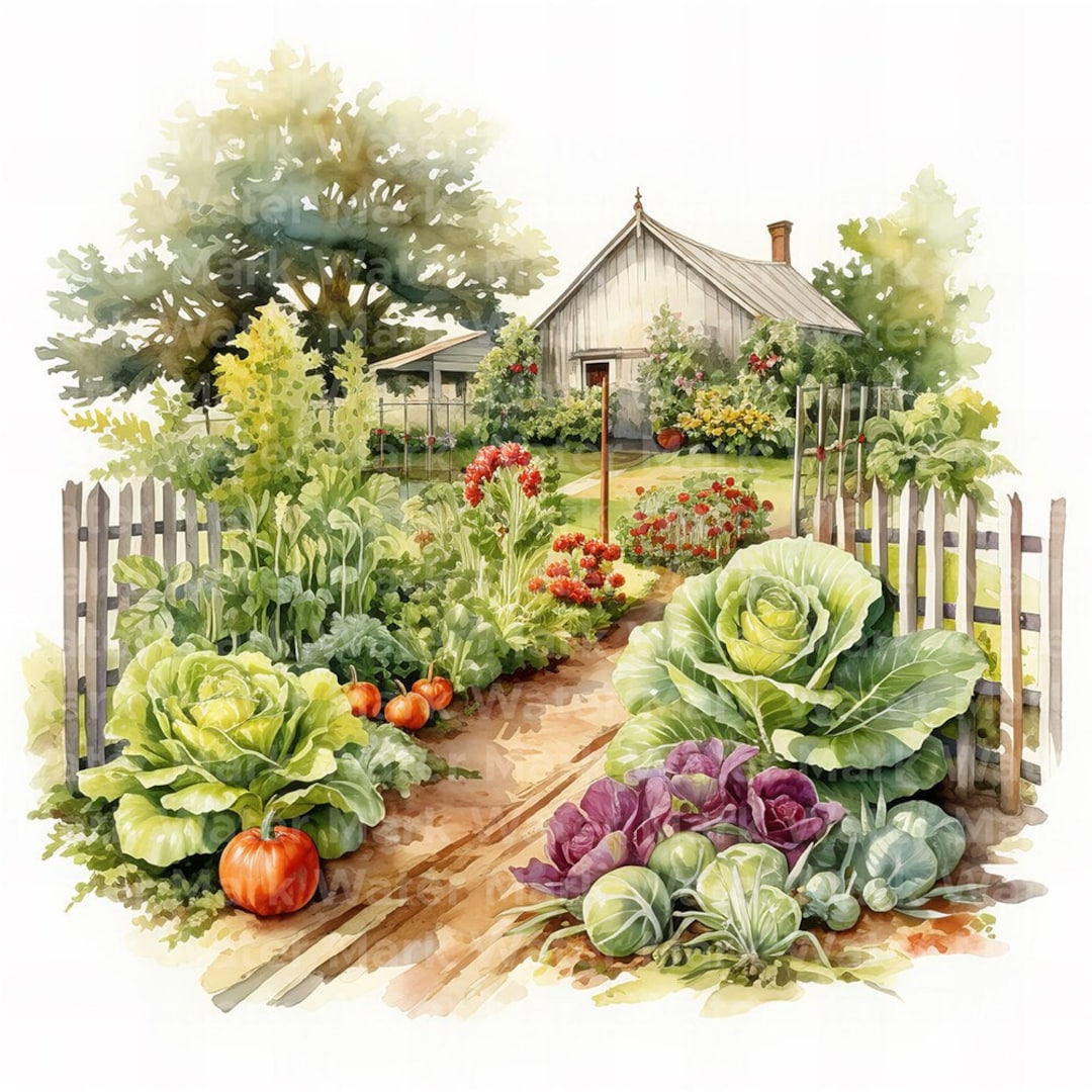 Garden Watercolor Clipart, 8 JPG, Digital Download, Garden Gate, Summer ...
