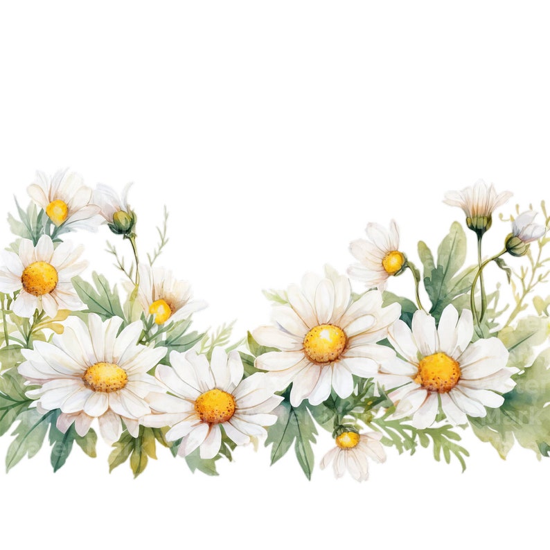 Watercolor Daisy Border Clipart: Floral Card Making (digital Download ...