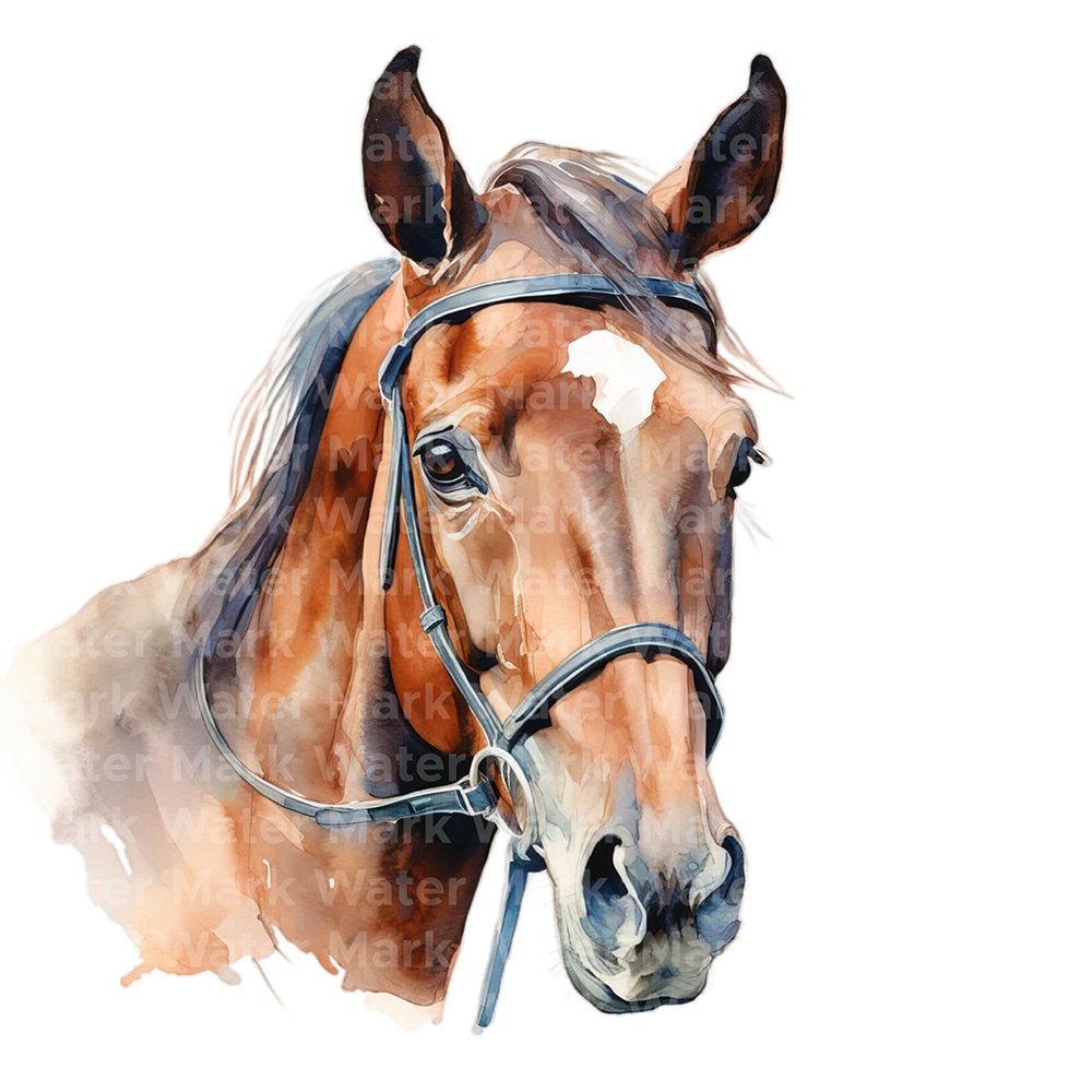 Watercolor Horse Clipart 12 JPG Beautiful Horses Animals - Etsy