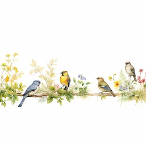 Watercolor Birds Border Clipart: Floral Frame (digital Download) - Etsy
