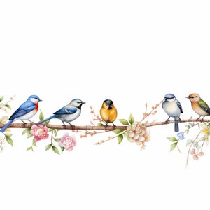 Watercolor Birds Border Clipart: Floral Frame (digital Download) - Etsy