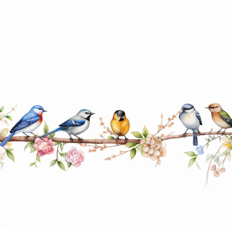 Watercolor Birds Border Clipart: Floral Frame (digital Download) - Etsy