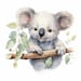 Watercolor Koala Bear Clipart: 12 JPG Images (digital Download) - Etsy