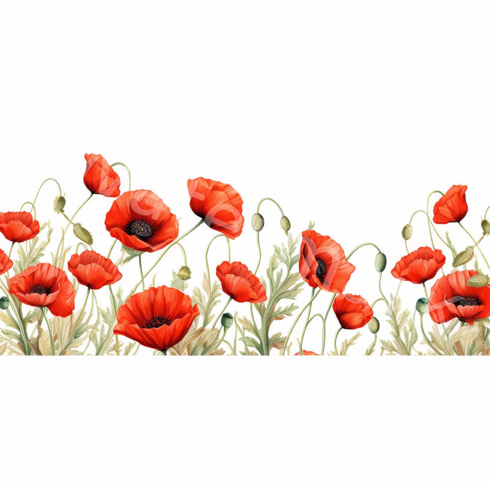 Floral Poppies Border Clipart, 12 JPG, Digital Paper Crafts, Poppies ...