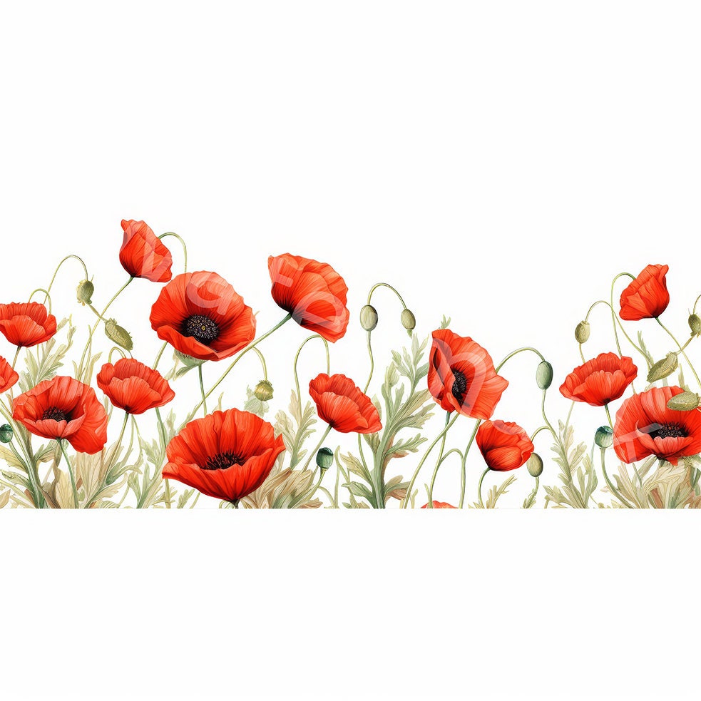 Watercolor Poppies Border Clipart: Floral Frames (digital Download ...