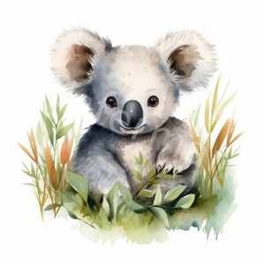 Watercolor Koala Bear Clipart: 12 JPG Images (digital Download) - Etsy