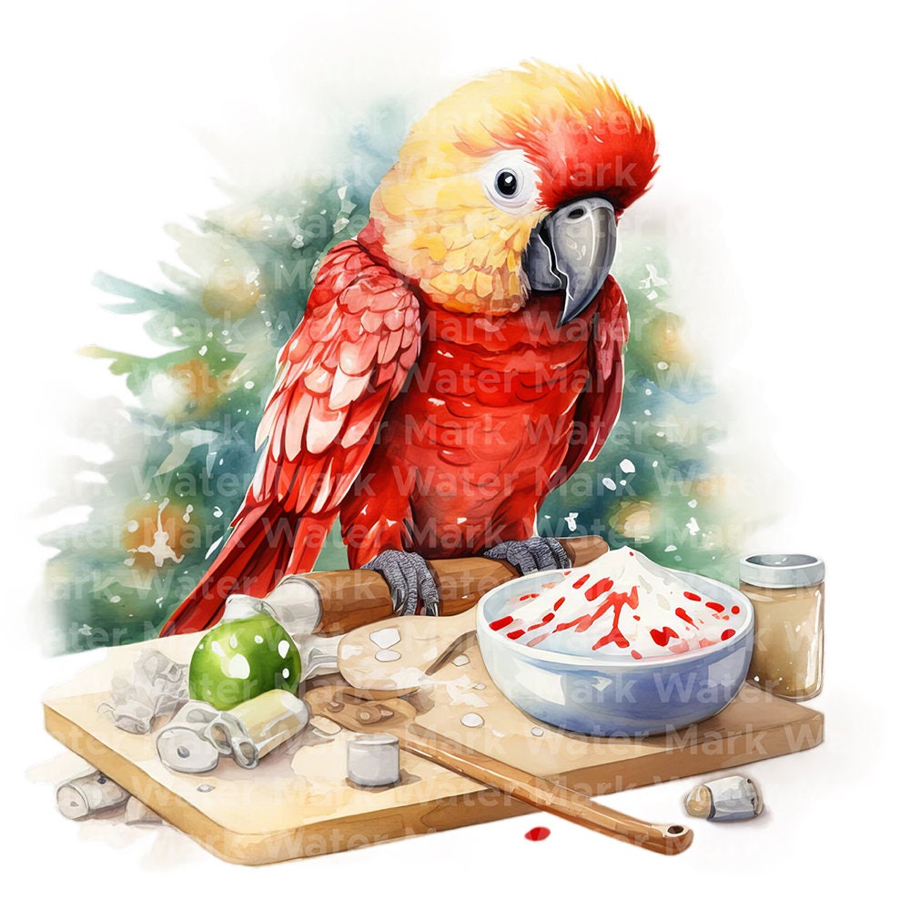 Christmas Parrot Clipart, 12 Jpg, Watercolor Clipart, Digital Paper ...