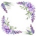 Watercolor Lavender Frame Clipart: Floral Border (digital Download) - Etsy