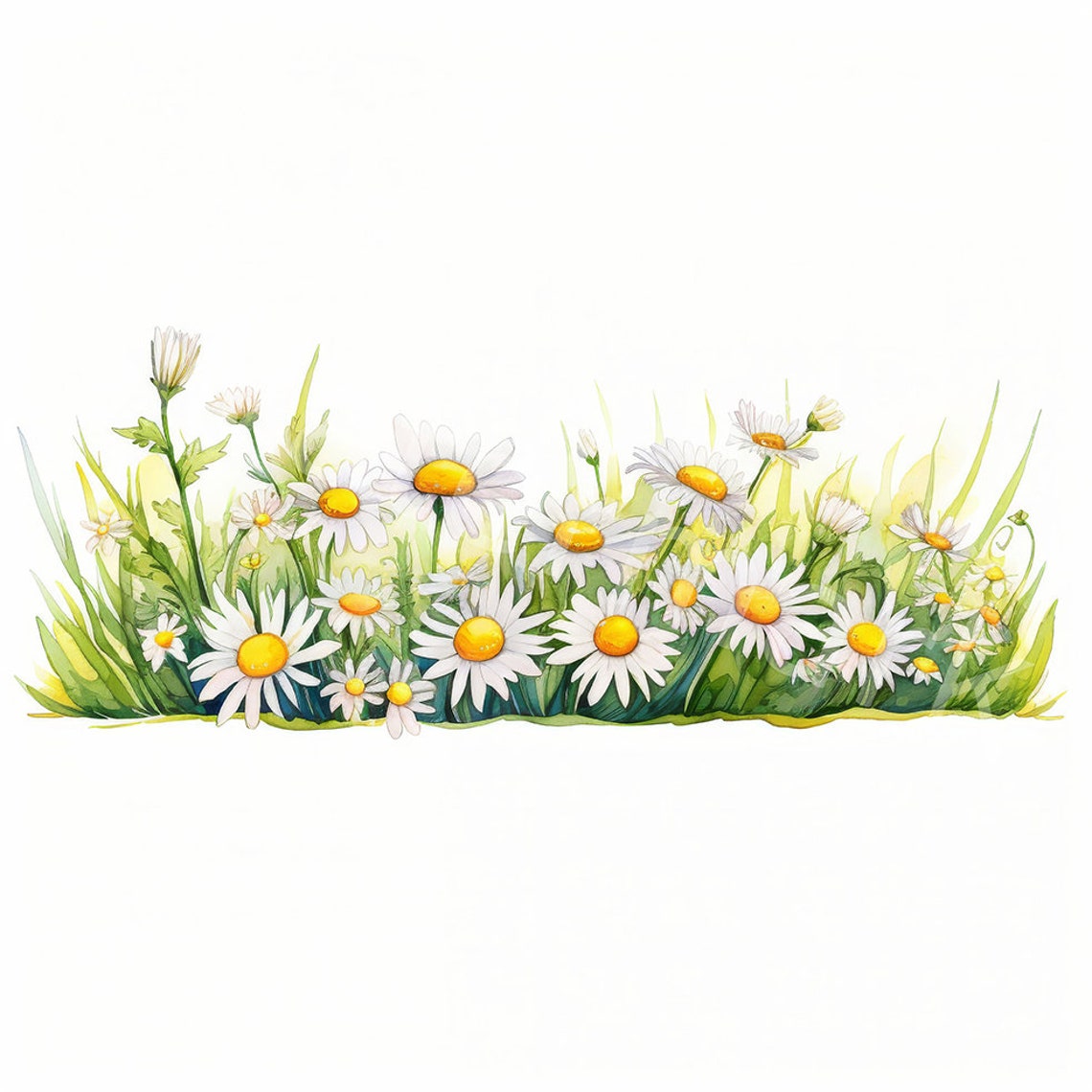 Daisy Border Clipart: Watercolor Flower Frame Graphics (digital ...