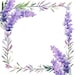 Watercolor Lavender Frame Clipart: Floral Border (digital Download) - Etsy