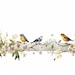 Watercolor Birds Border Clipart, 13 JPG, Digital Download, Digital ...