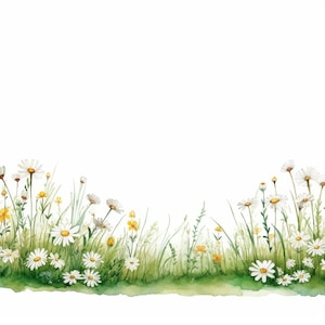 Daisy Border Clipart: Watercolor Flower Frame Graphics (digital ...