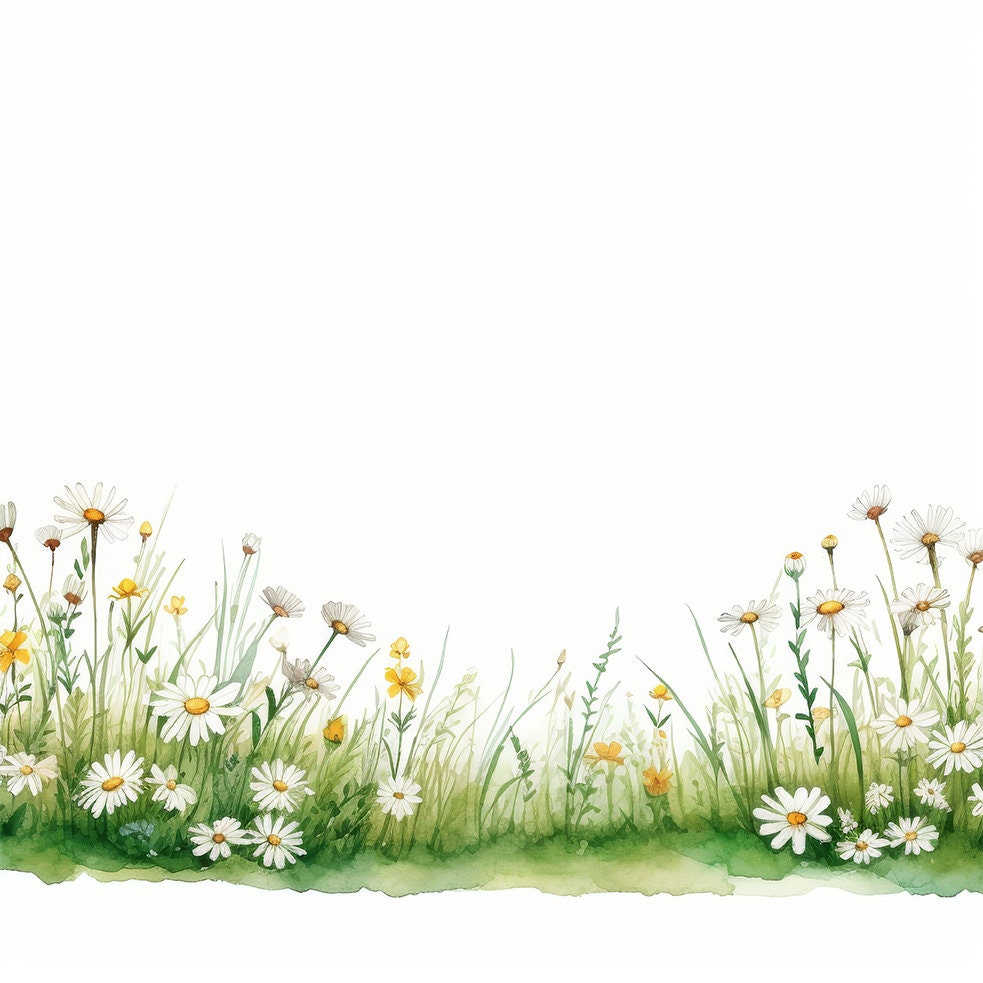 Daisy Border Clipart: Watercolor Flower Frame Graphics (digital ...