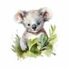 Watercolor Koala Bear Clipart: 12 JPG Images (digital Download) - Etsy