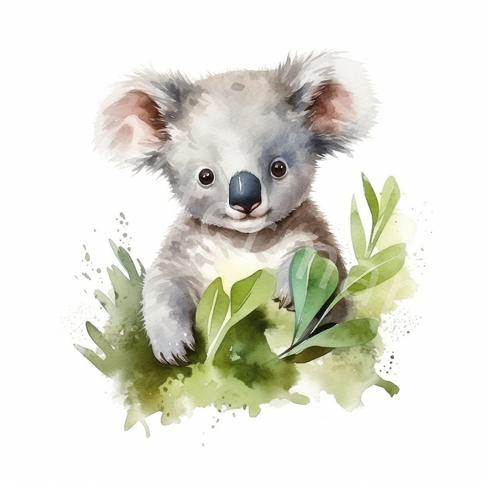 Watercolor Koala Bear Clipart: 12 JPG Images (digital Download) - Etsy