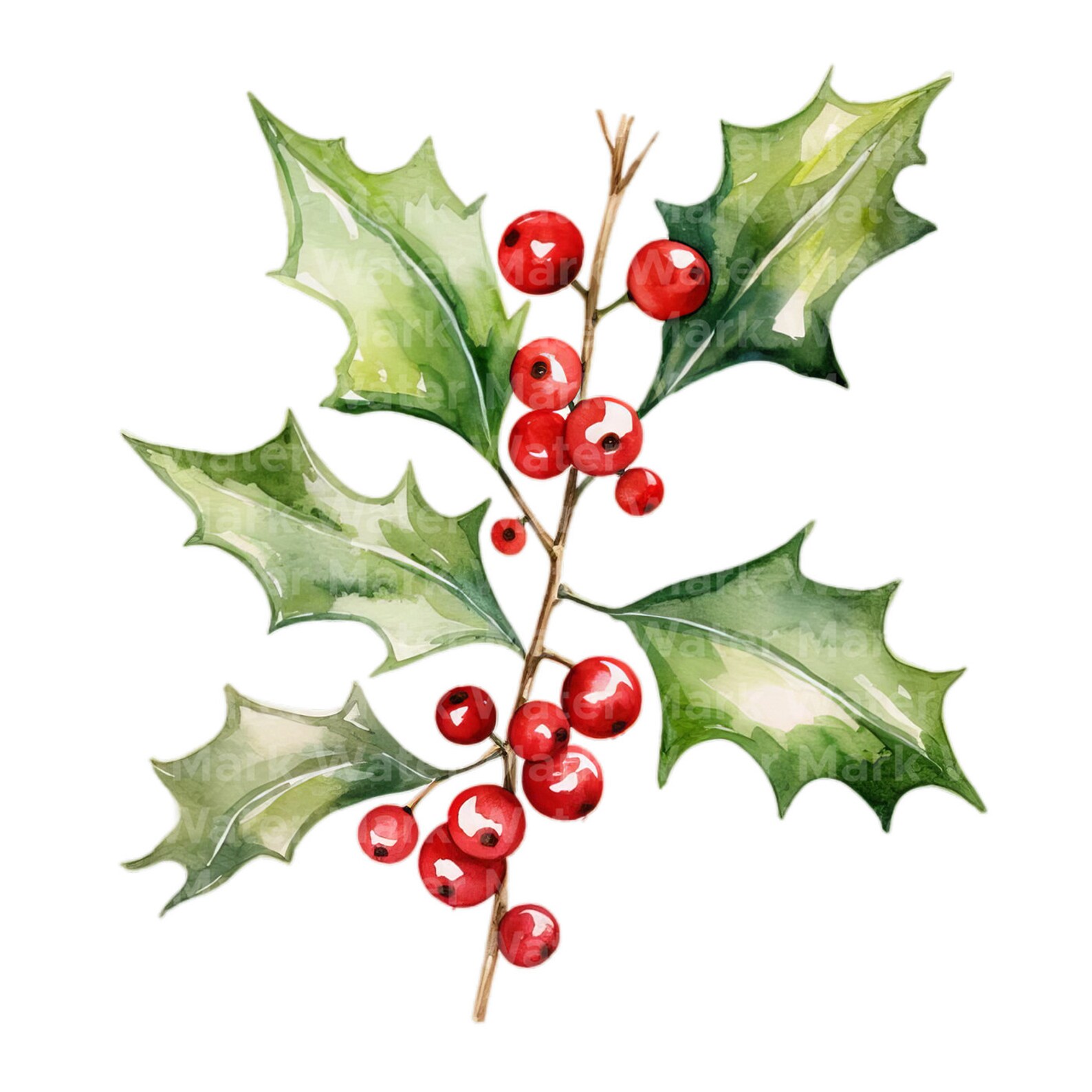 Christmas Mistletoe Clipart, 10 Jpg, Watercolor Clipart, Card Making ...