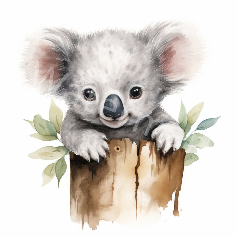 Watercolor Koala Bear Clipart: 12 JPG Images (digital Download) - Etsy