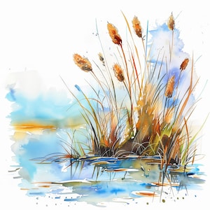 Watercolor Cattail Clipart: Aquatic Plant Illustration (digital ...