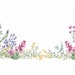 Watercolor Flower Border Clipart: Floral Frame Graphics (digital ...