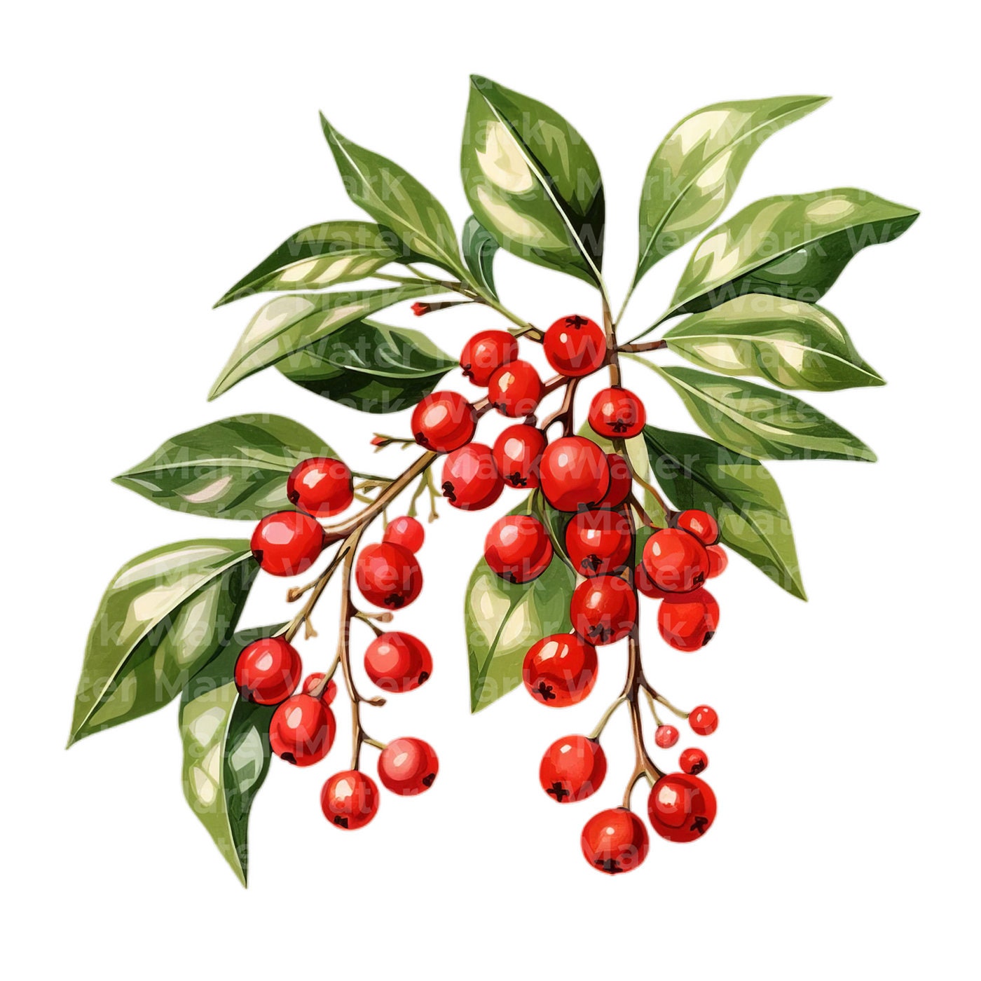 Christmas Mistletoe Clipart, 10 Jpg, Watercolor Clipart, Card Making ...