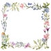 Watercolor Flower Frame Clipart: Floral Border Graphics (digital ...