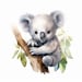 Watercolor Koala Bear Clipart: 12 JPG Images (digital Download) - Etsy