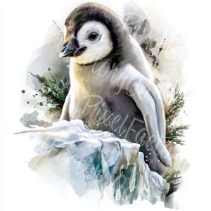 Watercolor Penguin Clipart Arctic Bird JPG Cute Baby Penguin Painting ...