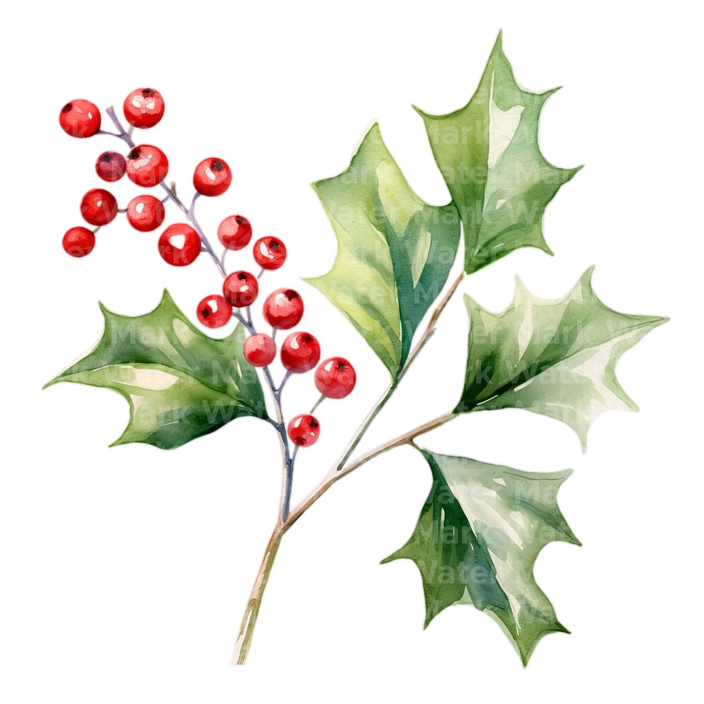 Christmas Mistletoe Clipart, 10 Jpg, Watercolor Clipart, Card Making ...