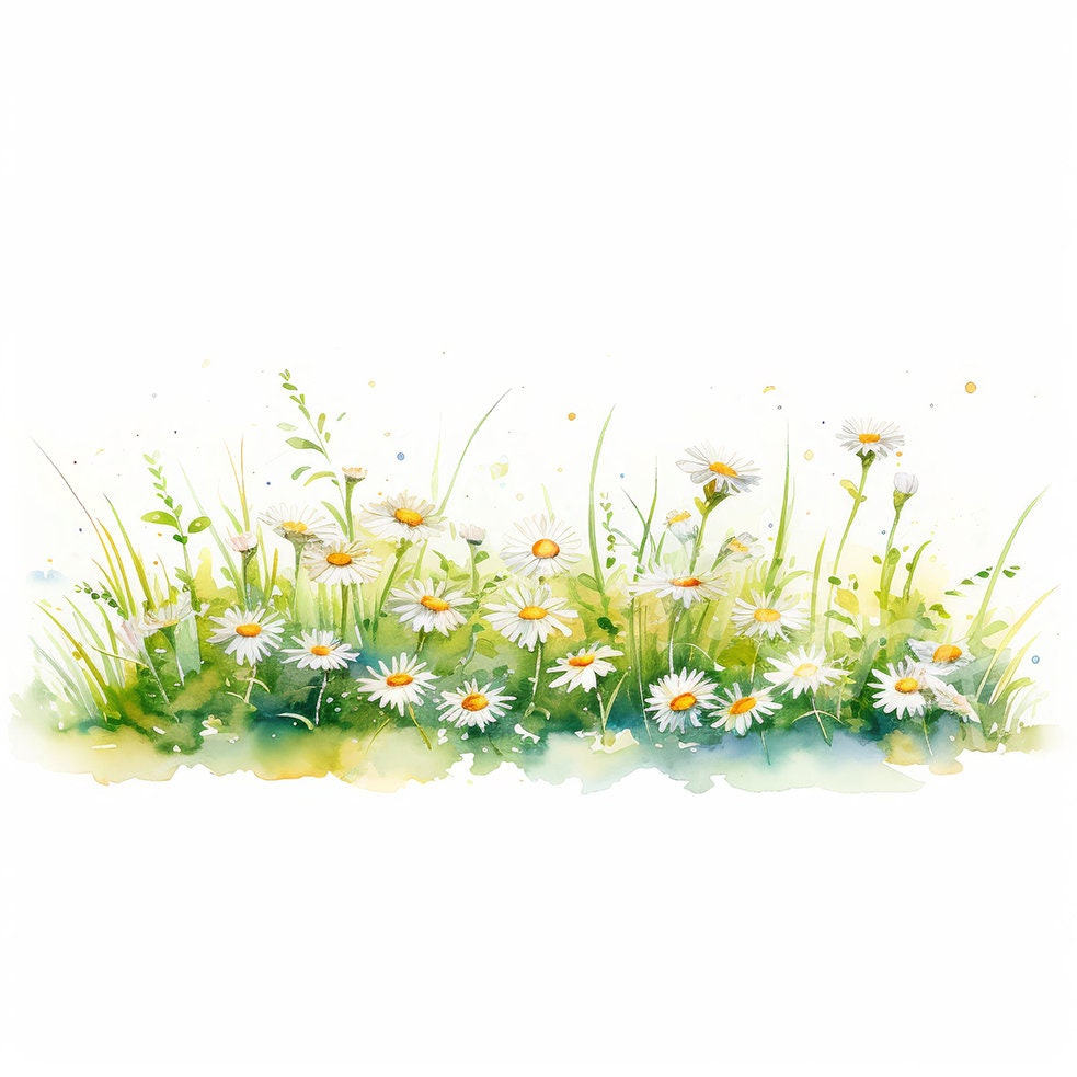 Daisy Border Clipart: Watercolor Flower Frame Graphics (digital ...