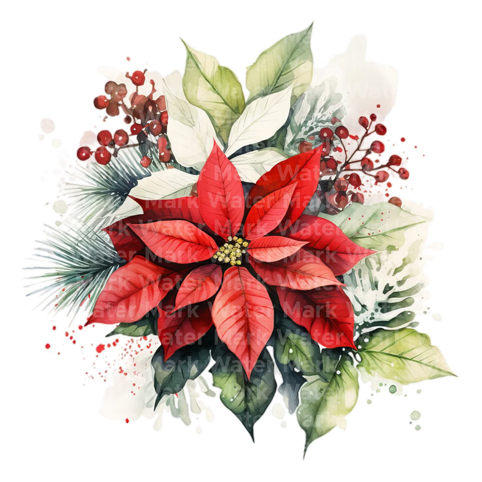 Christmas Poinsettia Clipart, 12 Jpg, Watercolor Clipart, Card Making ...