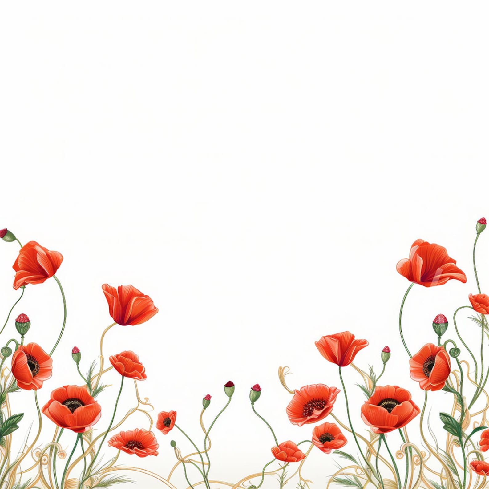 Floral Poppies Border Clipart, 12 JPG, Digital Paper Crafts, Poppies ...